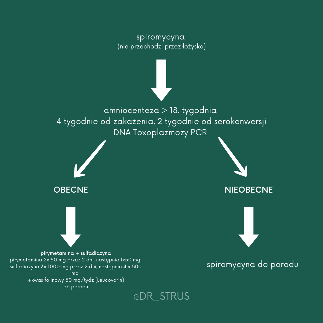 TOKSOPLAZMOZA W CIĄŻY. DIAGNOSTYKA I LECZENIE.